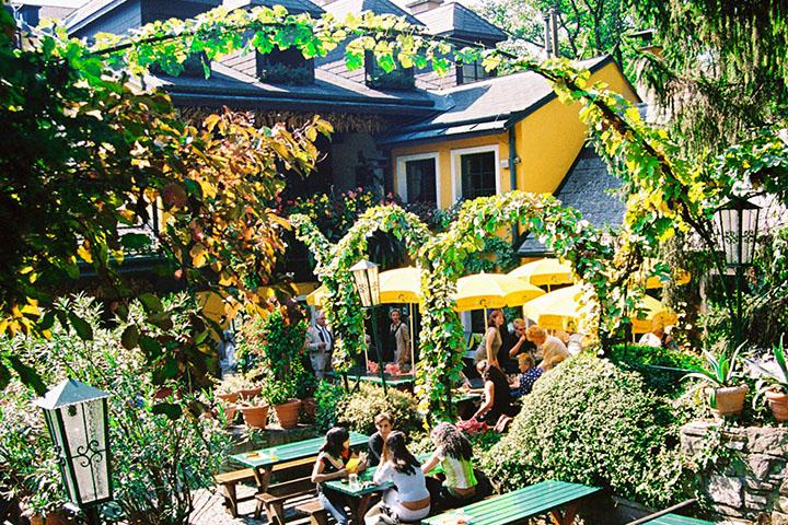 Vienna Heurigen Express | Wiener Wein