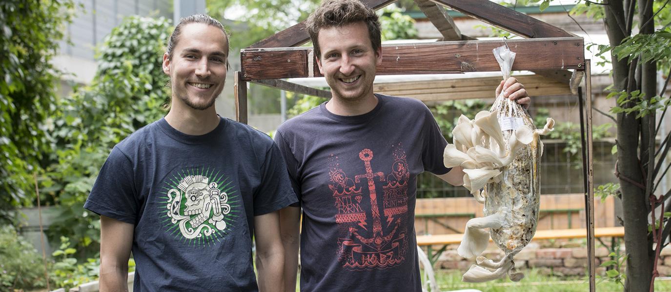 Hut & Stiel | Stadtlandwirtschaft Wien