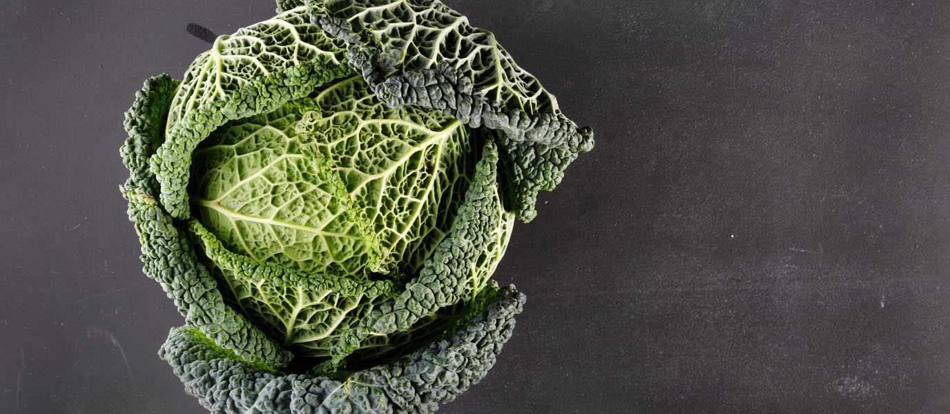 Kohl | Stadtlandwirtschaft Wien